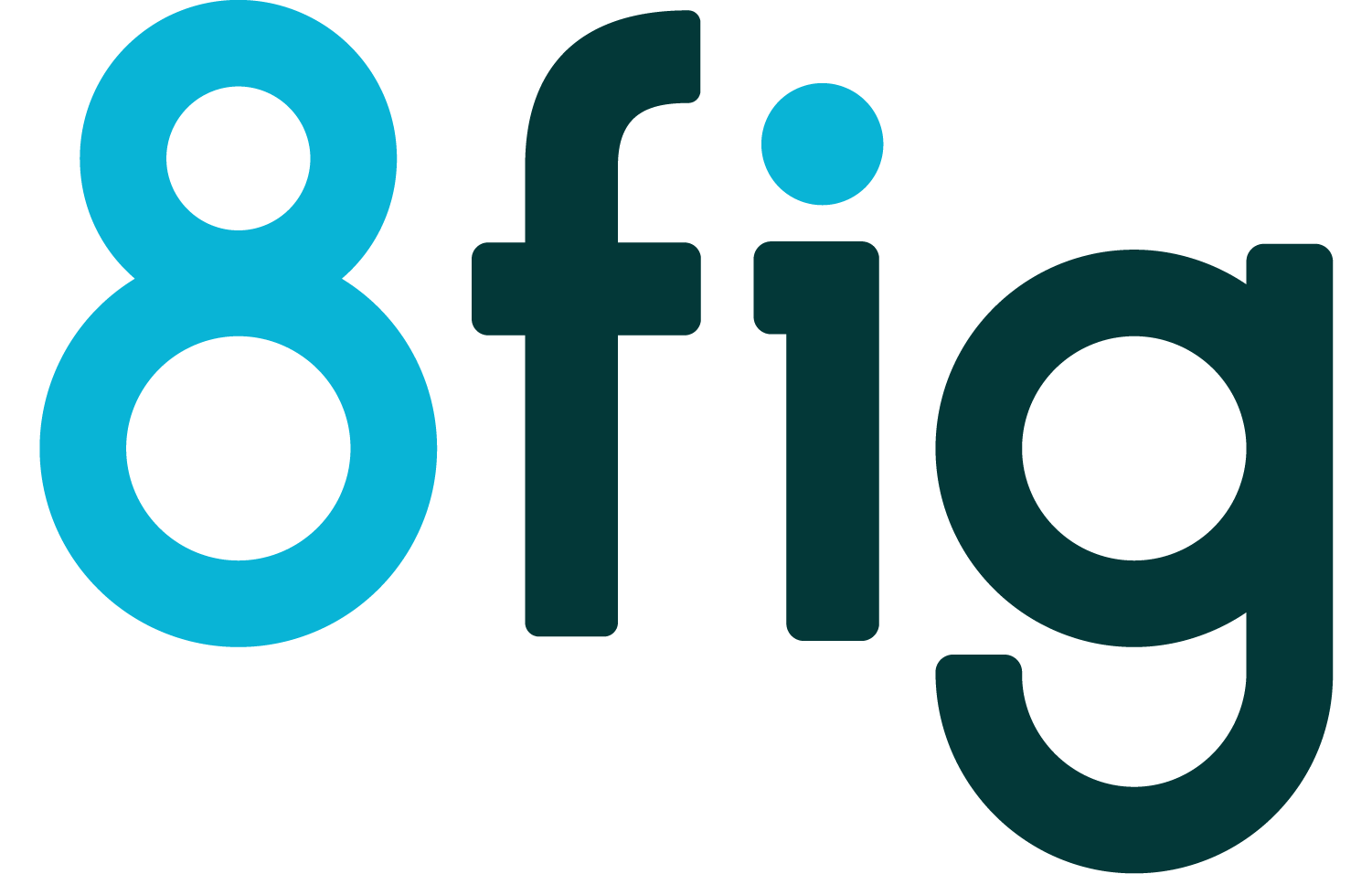 BFCM: The Ultimate Guide to eCommerce Sales [2022] - 8fig